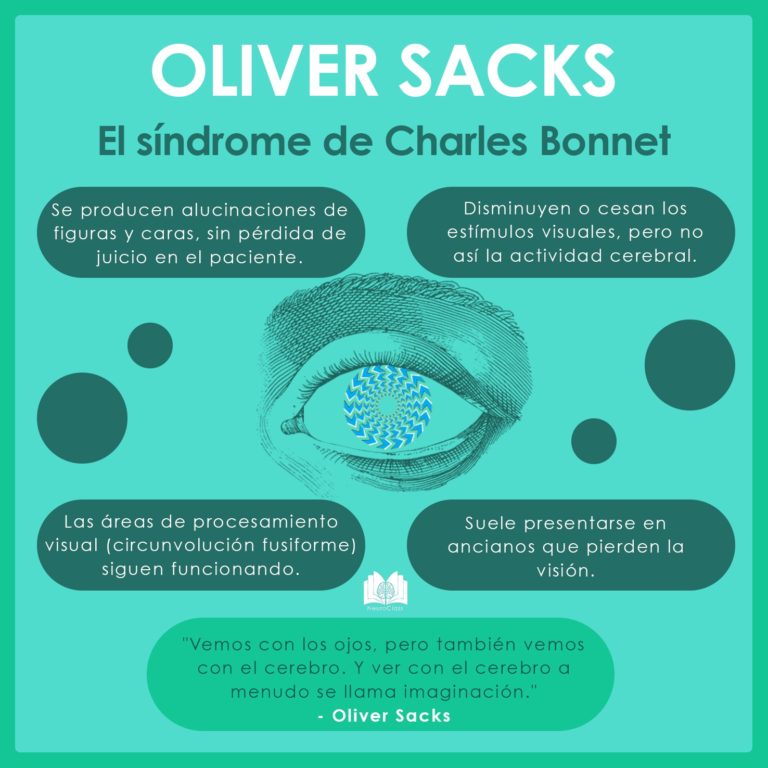 Efectos De La Marihuana En El Cerebro Neuroclass