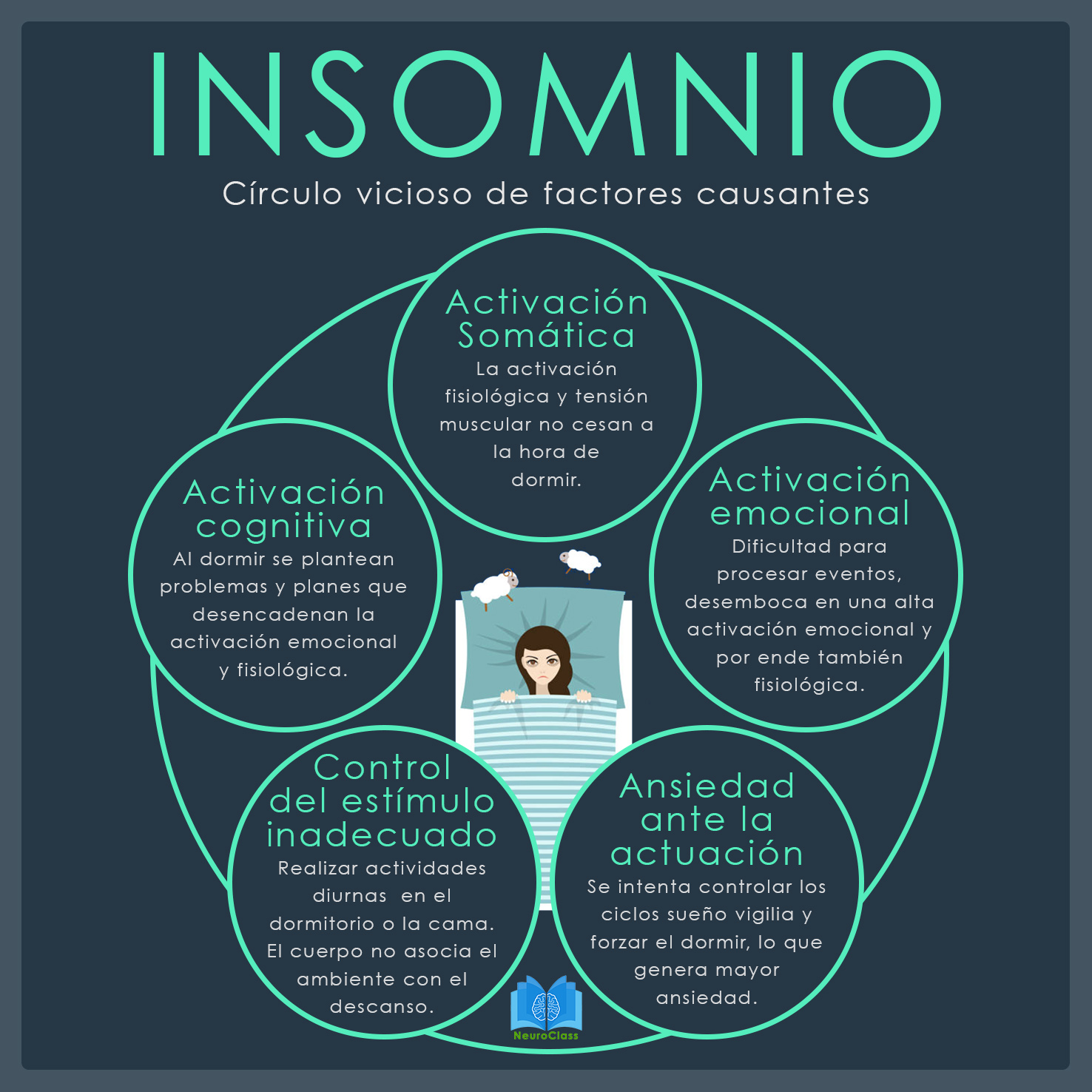 Fases Del Sueño Fundamentos Teóricos Neuroclass