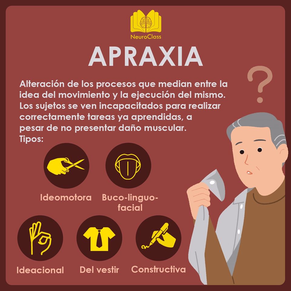 La ilusión de la mano de goma - NeuroClass