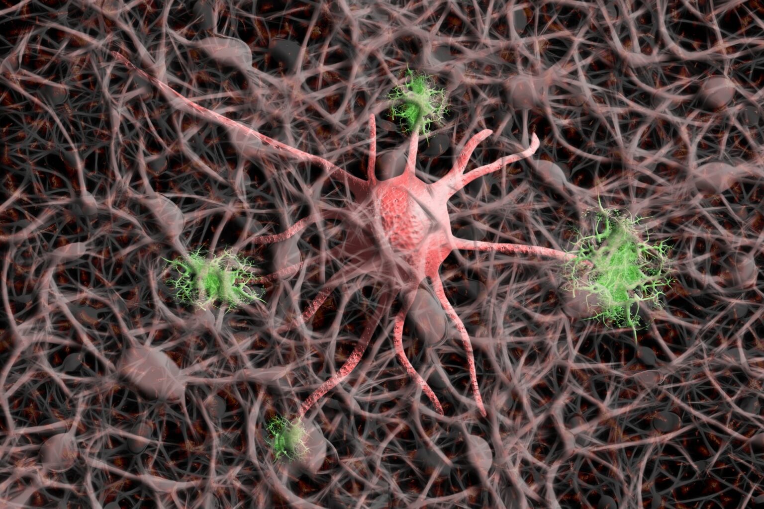Células gliales: El complemento de las neuronas - NeuroClass