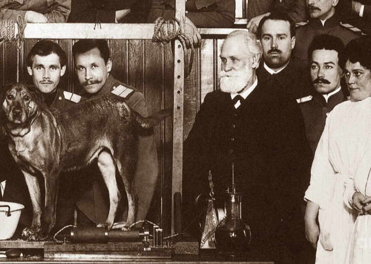 Condicionamiento clásico: La campana de Pavlov